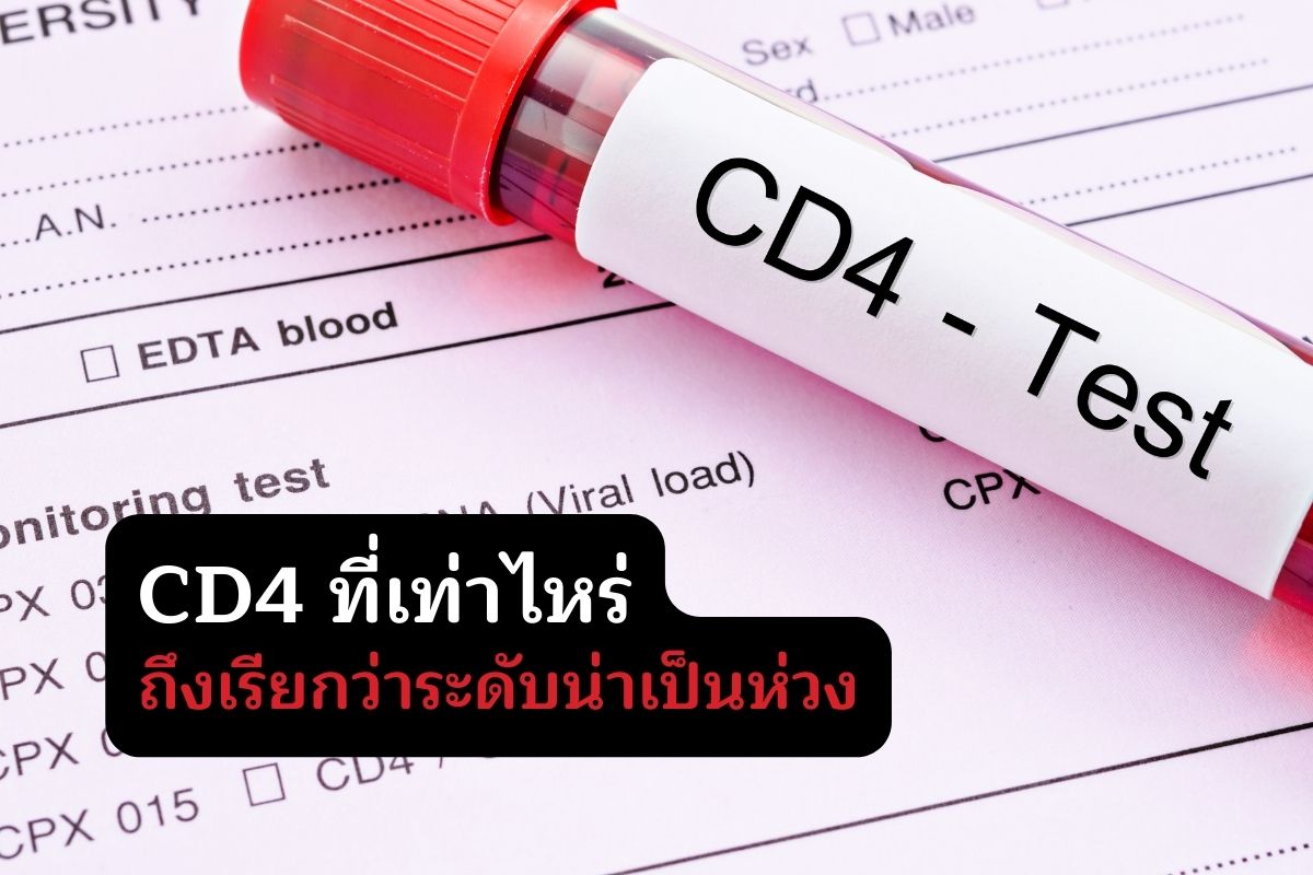 CD4 ที่เท่าไหร่ถึงเรียกว่าระดับน่าเป็นห่วง | ThaiHiv365